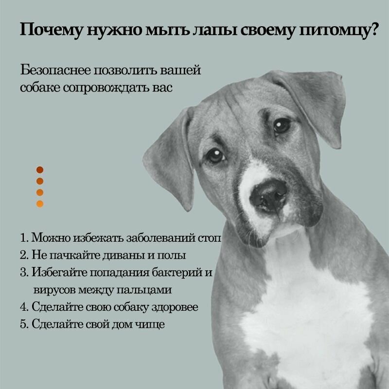 Лапомойка — фото 1