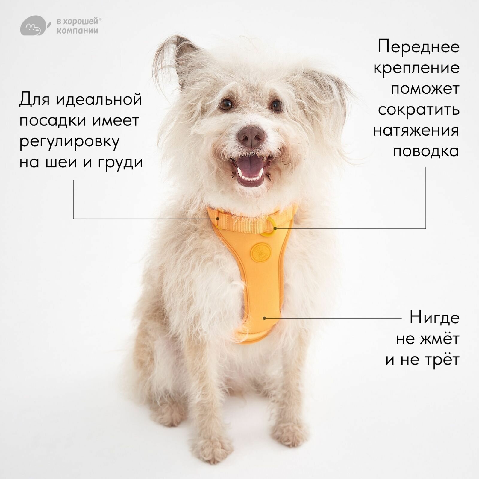 Шлейка — фото 1