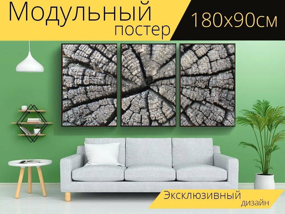 Модульный постер "Дерево, срез дерева, фон" 180 x 90 см. для интерьера
