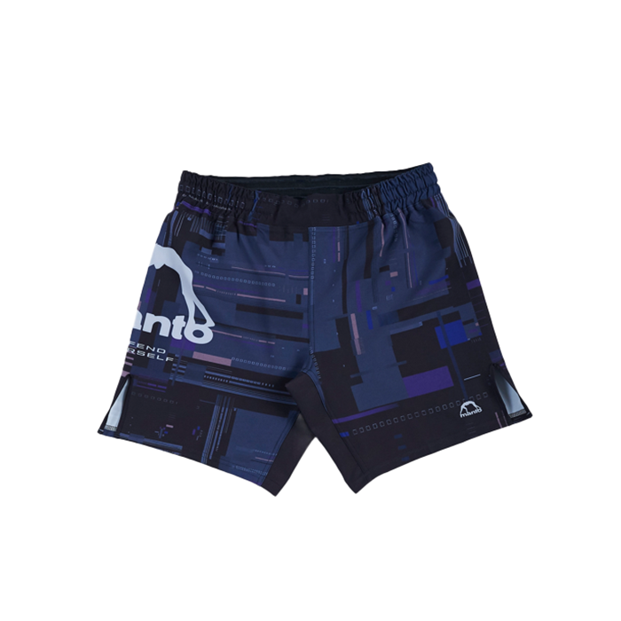 Шорты спортивные