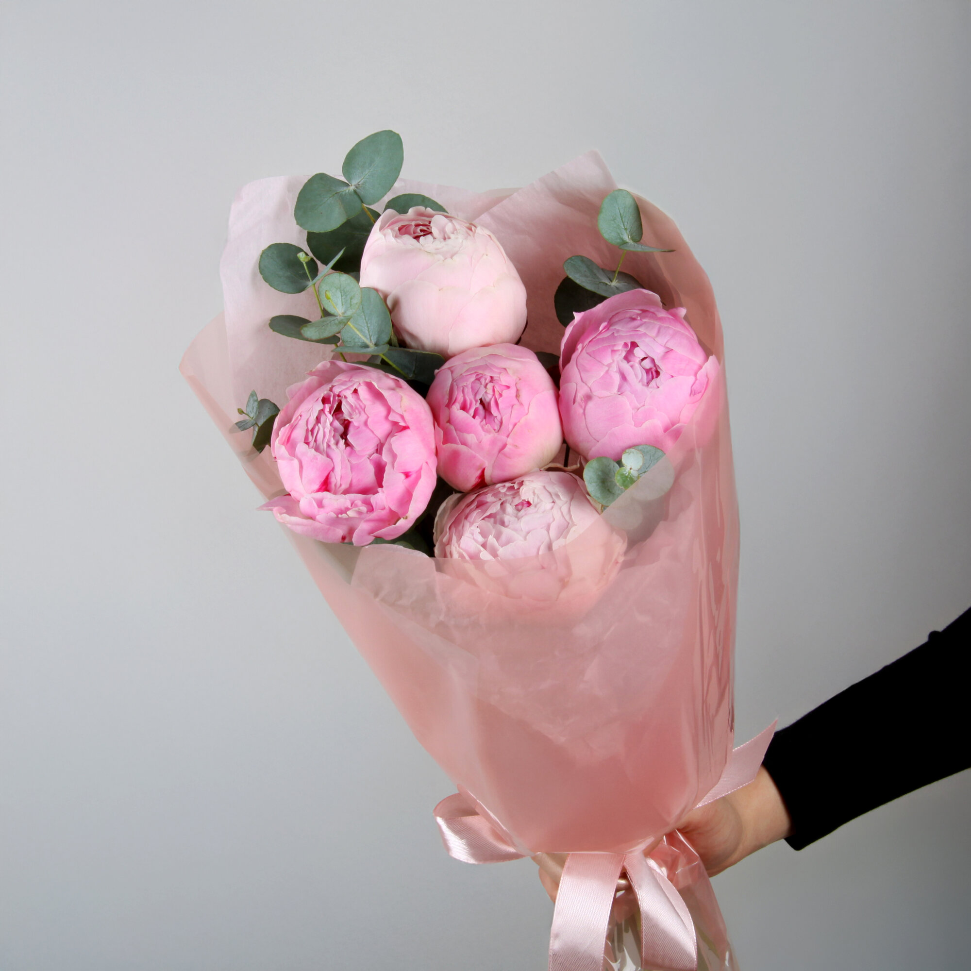 5 ароматных пионов Сара Бернар с эквалиптом