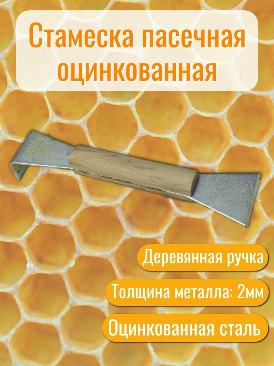 Стамеска пасечная оцинкованная с деревянной ручкой