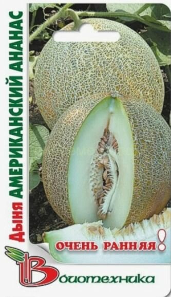 Семена Дыня Американский ананас