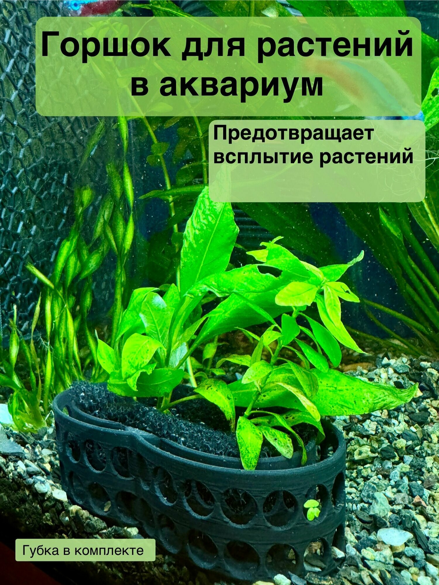Горшок для рассады растений в аквариуме (кашпо) с двойной стенкой + губка в комплекте