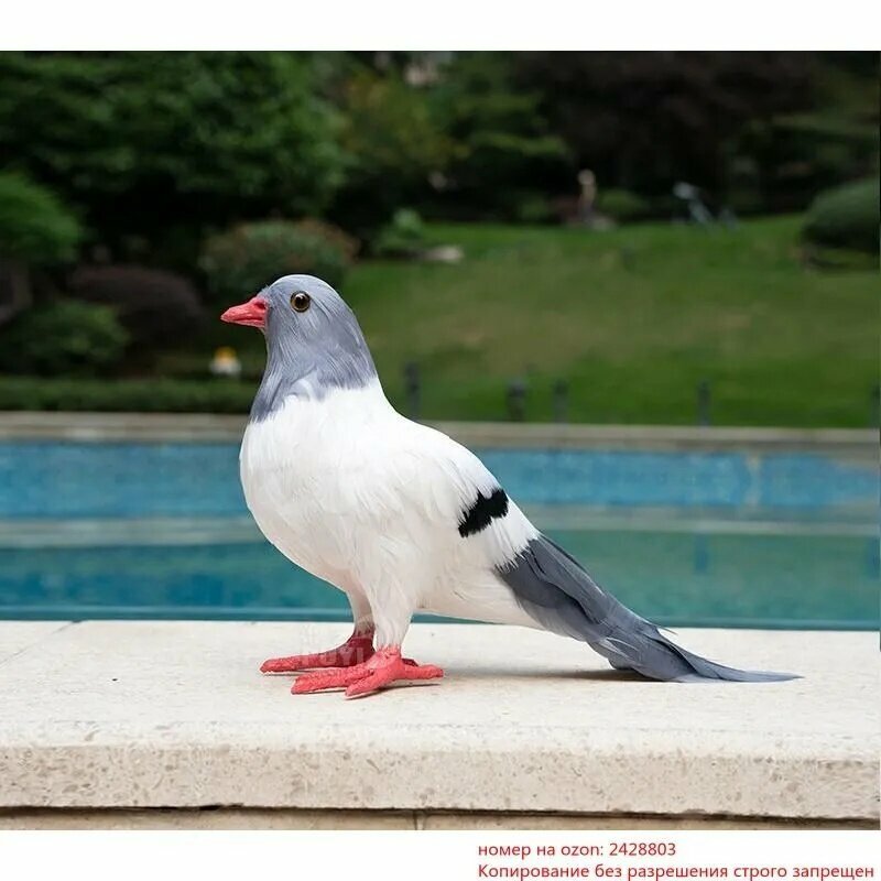 Серый голубь из искусственного оперения (32 см), декоративная статуэтка для гостиной, офиса, фотосессии