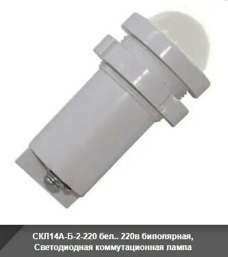 2шт Лампа СКЛ 14А-Б-2-220