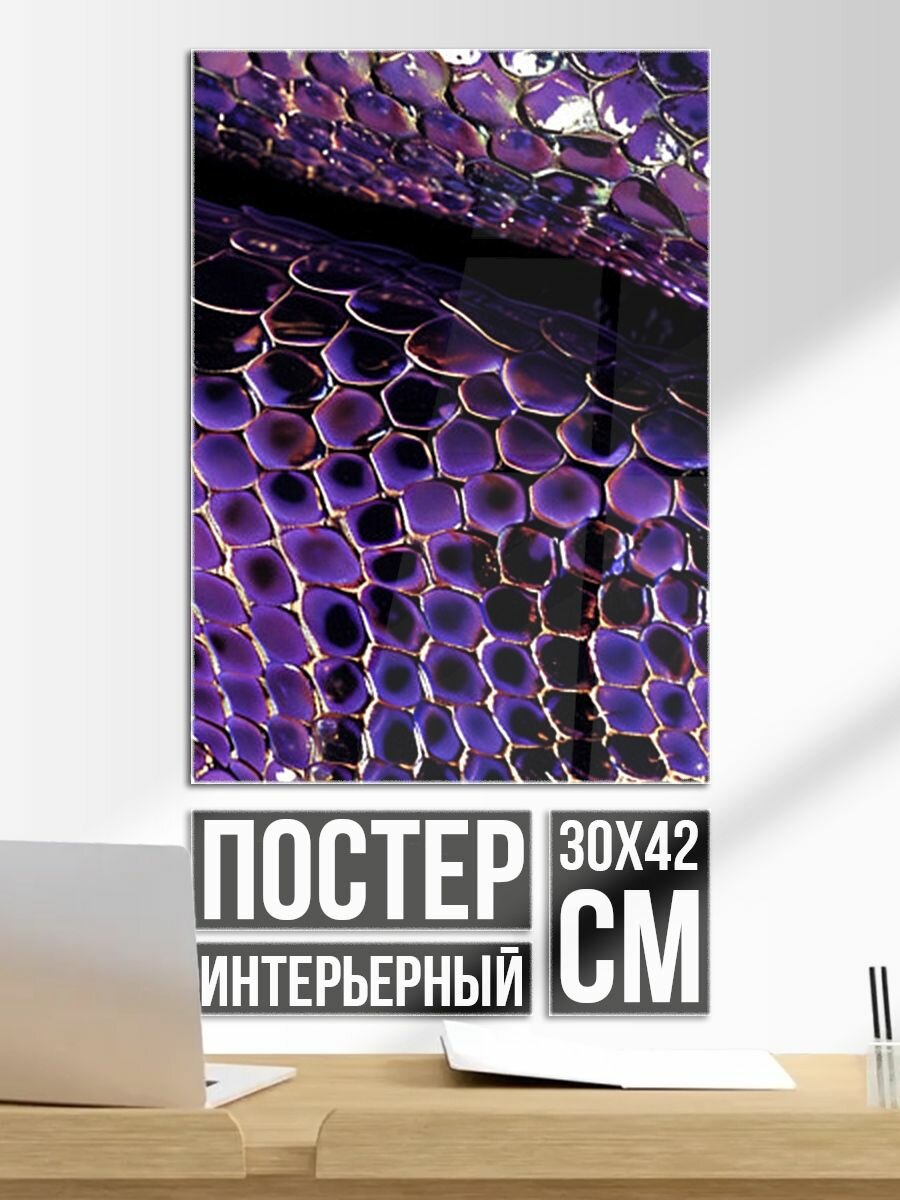 Постер на стену Фиолетовая кожа змеи