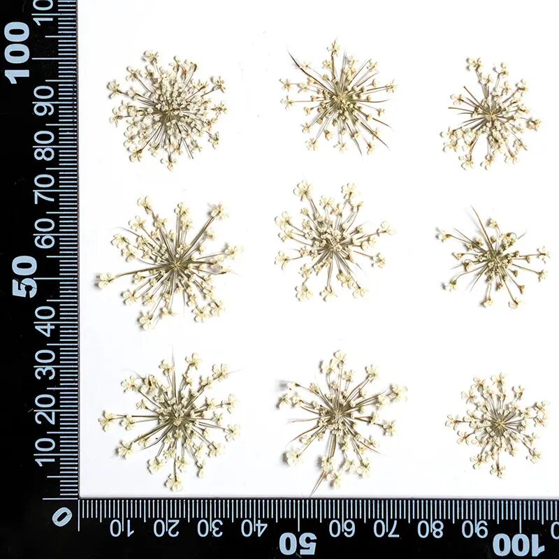 Мини-лепестки цветов, 12 шт, окрашенные, 2-2,5 см Original white