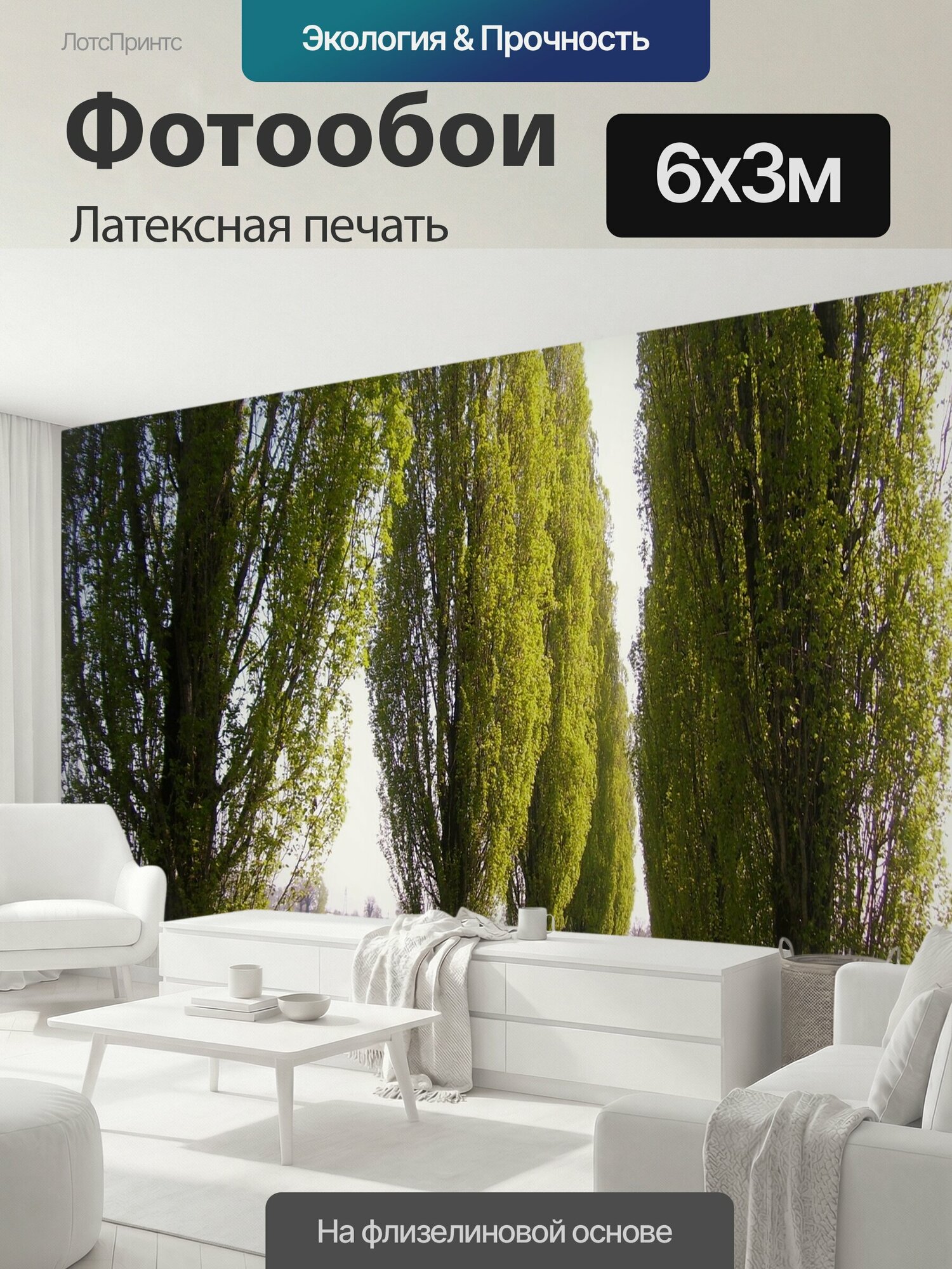 Фотообои моющиеся ударопрочные "Тополя, деревья, дороги обсаженной деревьями" 600x300 см. латексная печать