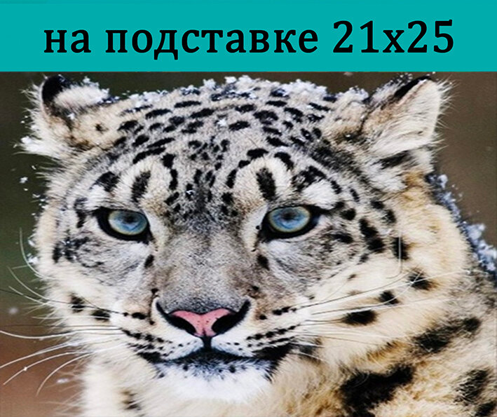 Алмазная мозаика 25х21 см частичная выкладка, алмазная вышивка для детей и взрослых, наборы для творчества