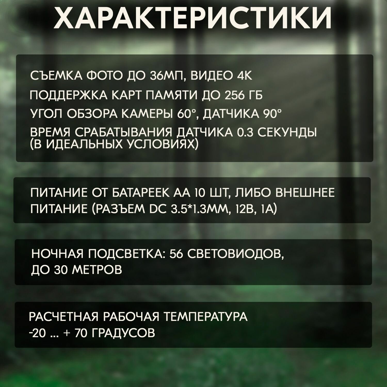 Фотоловушка — фото 1