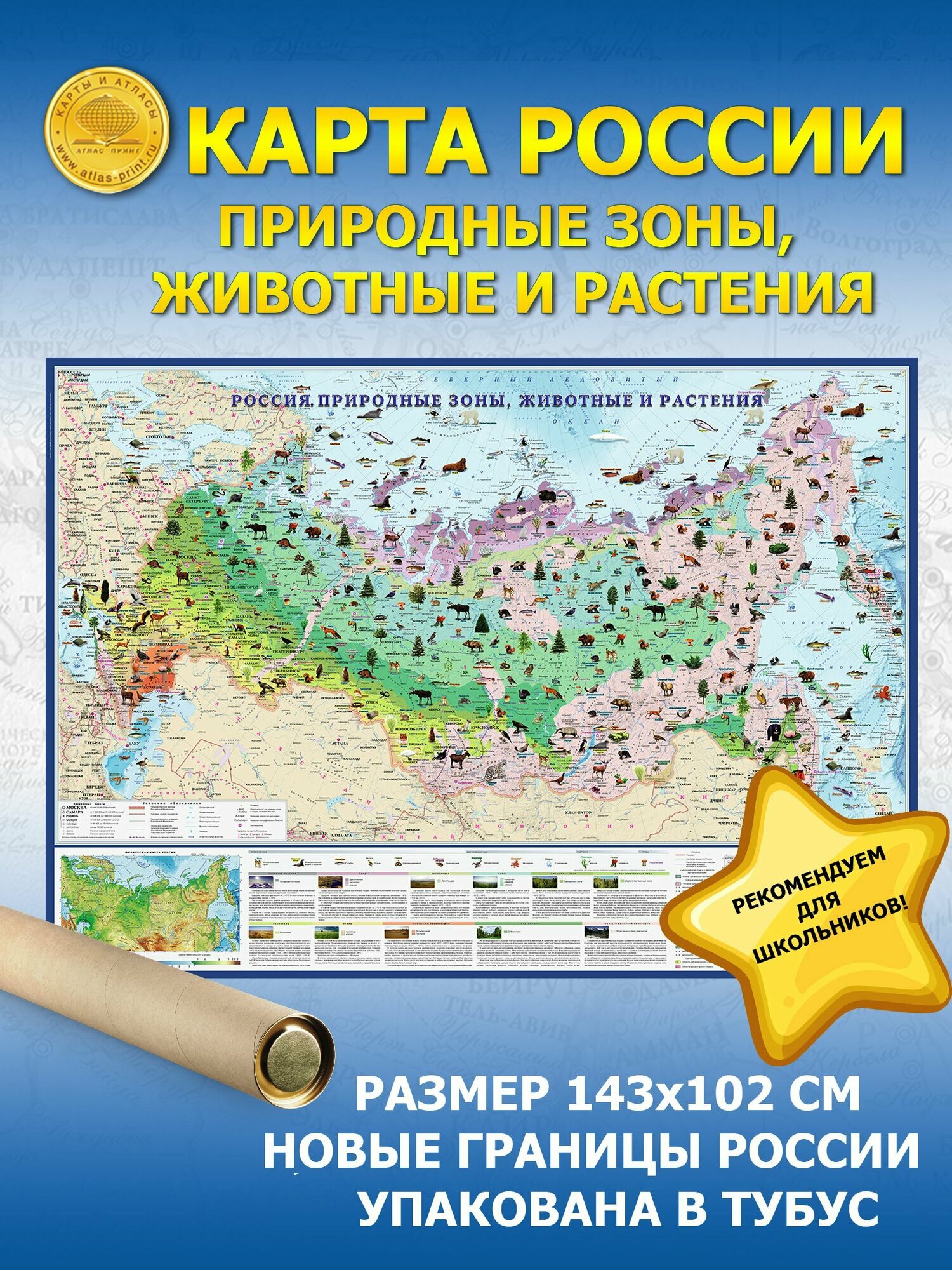 Настенная карта России. Природные зоны, животные и растения 1,43х1,02 м