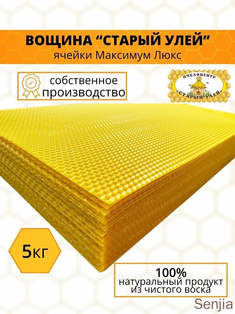 Вощина