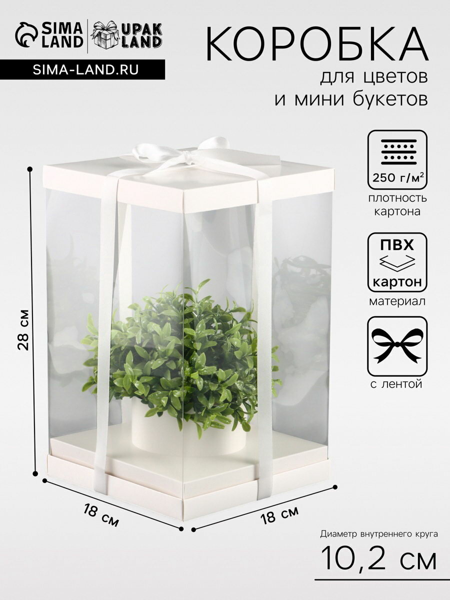 Коробка PVC, для цветов с лентой, 28x18x18 см, белый, тематика праздника: 14 февраля
