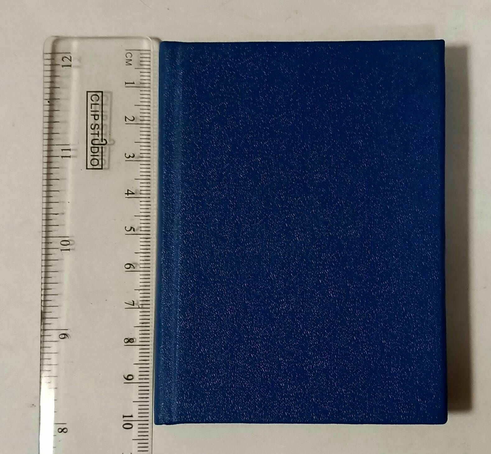 Миниатюрное издание. Портреты русских писателей