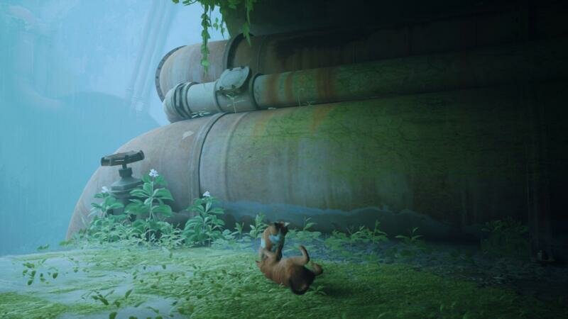 Игра для PlayStation 5 – Stray — фото 1
