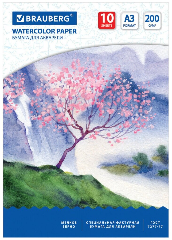 Бумага для акварели большая А3, 10 л, 200 г/м2, BRAUBERG, "Сакура", 125224, 1 шт