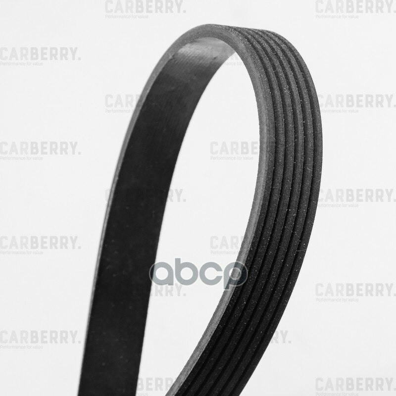 Ремень поликлиновой Universal CARBERRY арт. 6PK1098