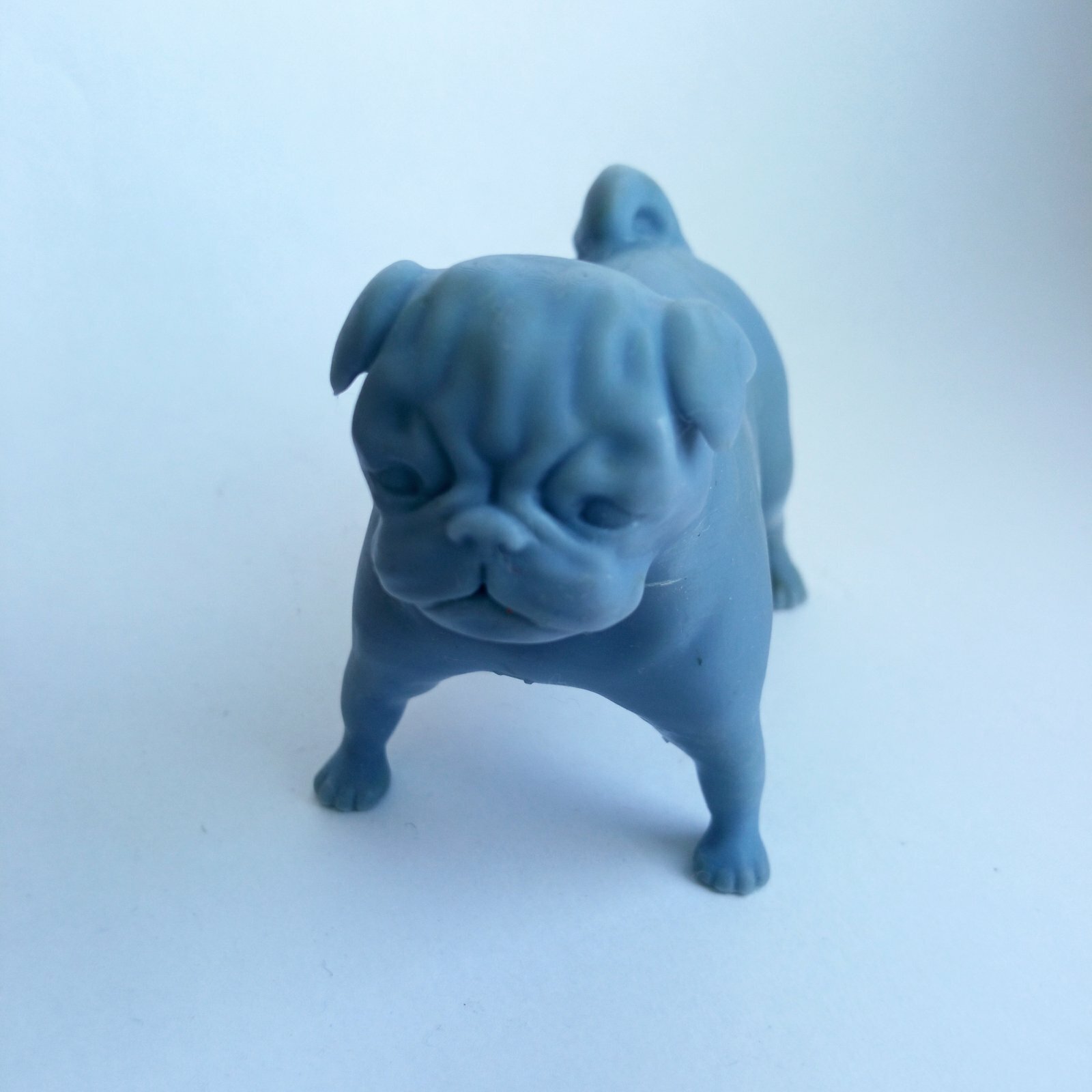 Собака Мопс в машину