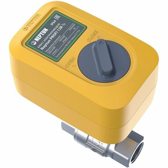 Кран с электроприводом Neptun PROFI 220В 1"