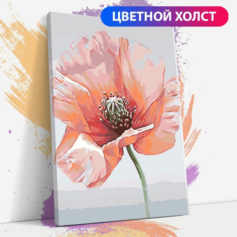 Картина по номерам на холсте с подрамником, "Цветы. Мак", 30х40 см