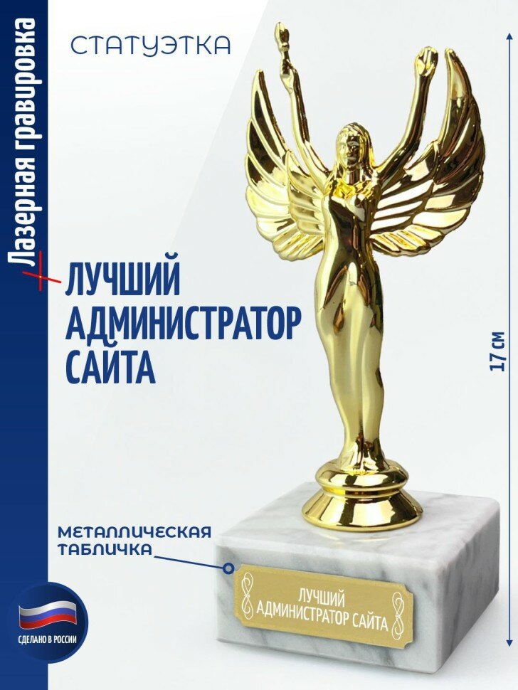 Статуэтка награда Женск. "Лучший администратор сайта" (17 см)