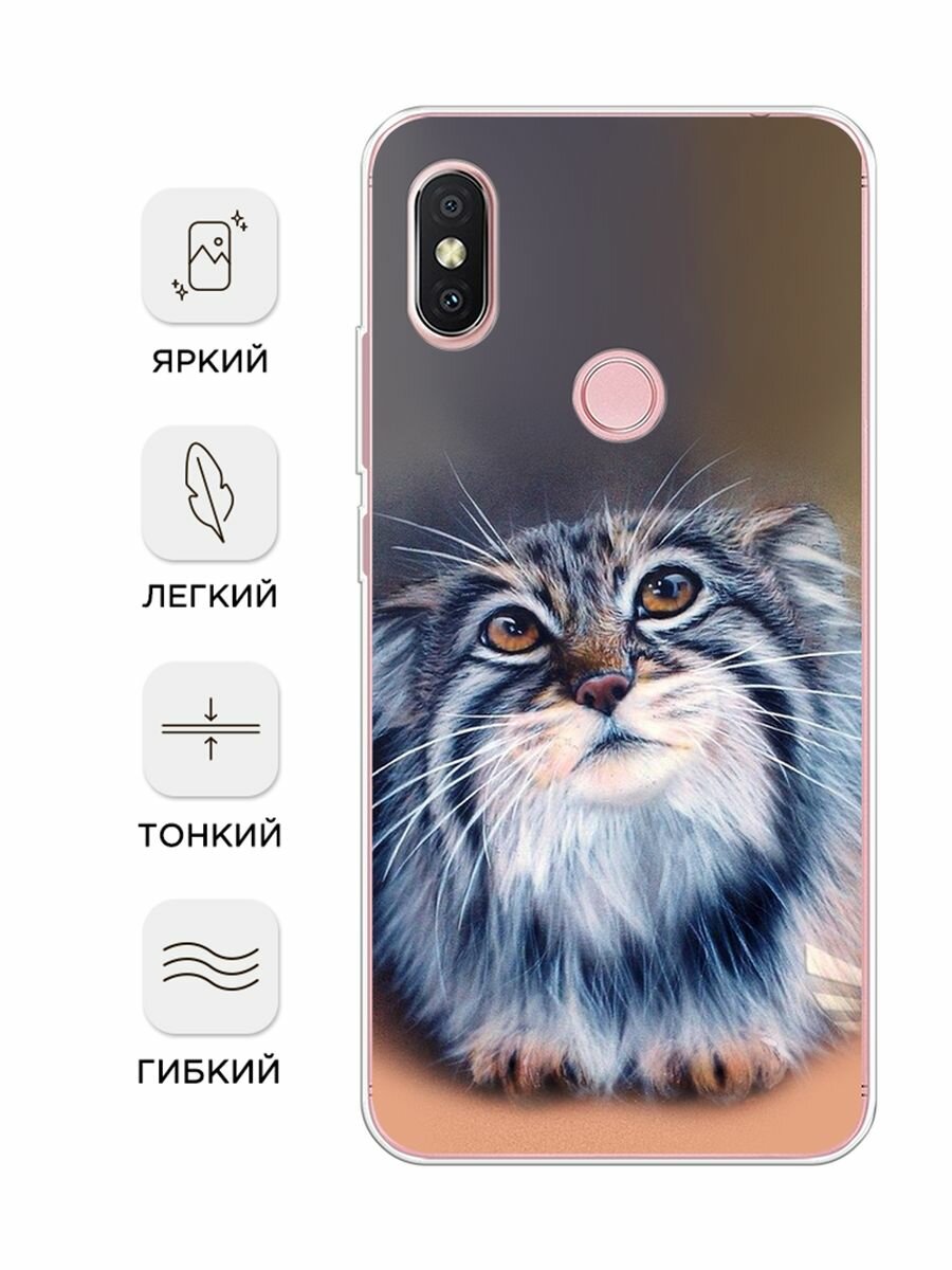 Чехол на Xiaomi Redmi S2 (Redmi Y2) / Сяоми Редми С2 (Редми Y2) с принтом "Кот манул 2" — фото 1