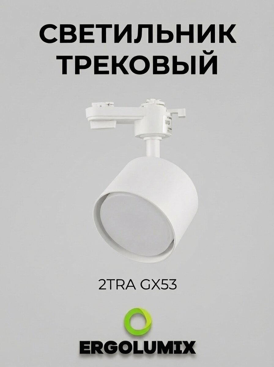 Трековый светильник 2 TRA RG-GD53W Белый D80 H110 1 GX53 15W под лампу GX53