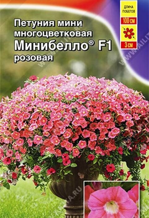 Семена растения Петуния мини Минибелло розовая F1 многоцветковая