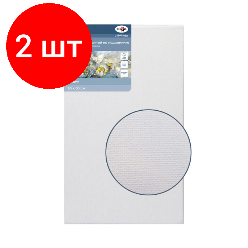 Комплект 2 шт, Холст на подрамнике Гамма "Студия", 30*50см, 100% хлопок, 280г/м2, мелкое зерно