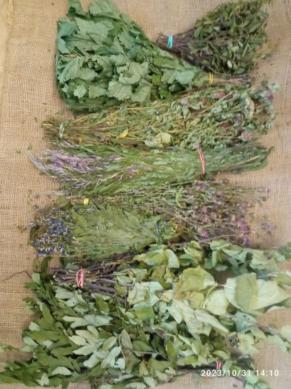 Лакомство для кроликов шиншилл, хомяков, морских свинок, дегу, крыс, песчанок ChinZoo набор веников Гурман 8 шт.