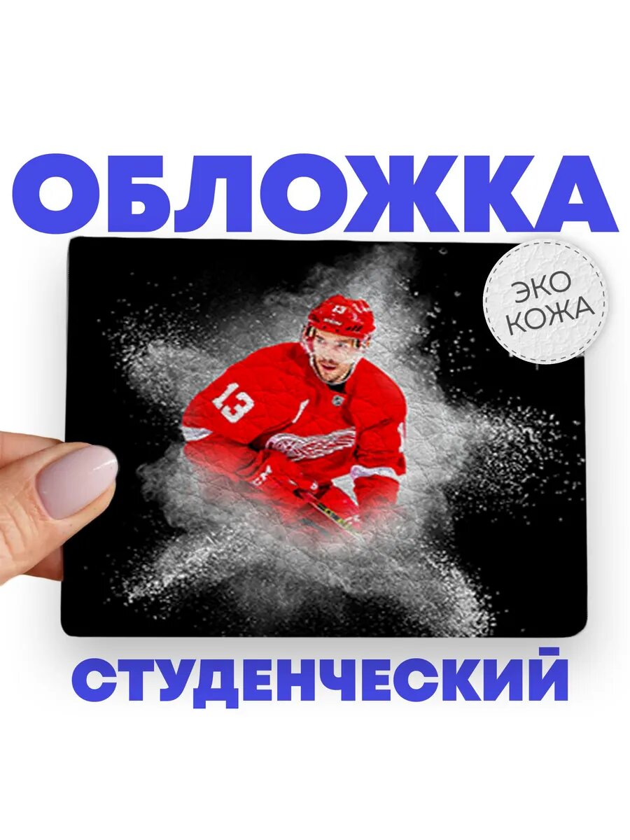 Обложка для студенческого билета