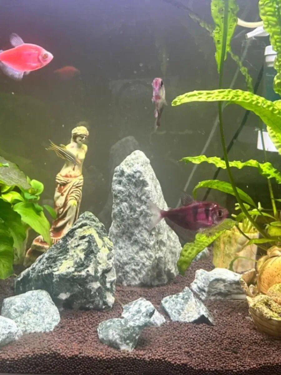 Камни для аквариума жадеит колотый крупный/мелкий 2кг