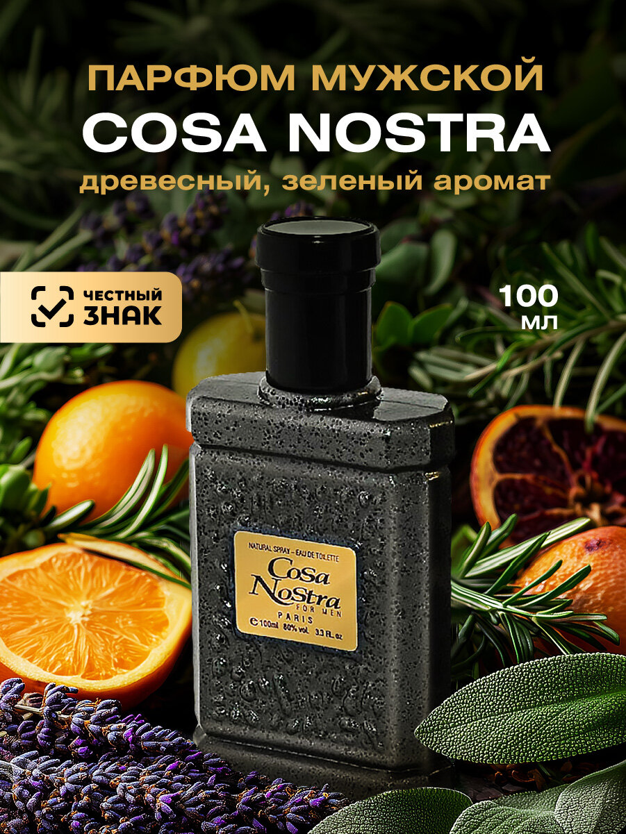 Туалетная вода мужская Paris Line Parfums Cosa Nostra Perfume 100мл