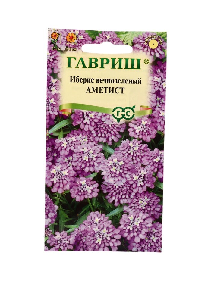 Семена цветов Иберис Аметист 0,1 г DH 10965347