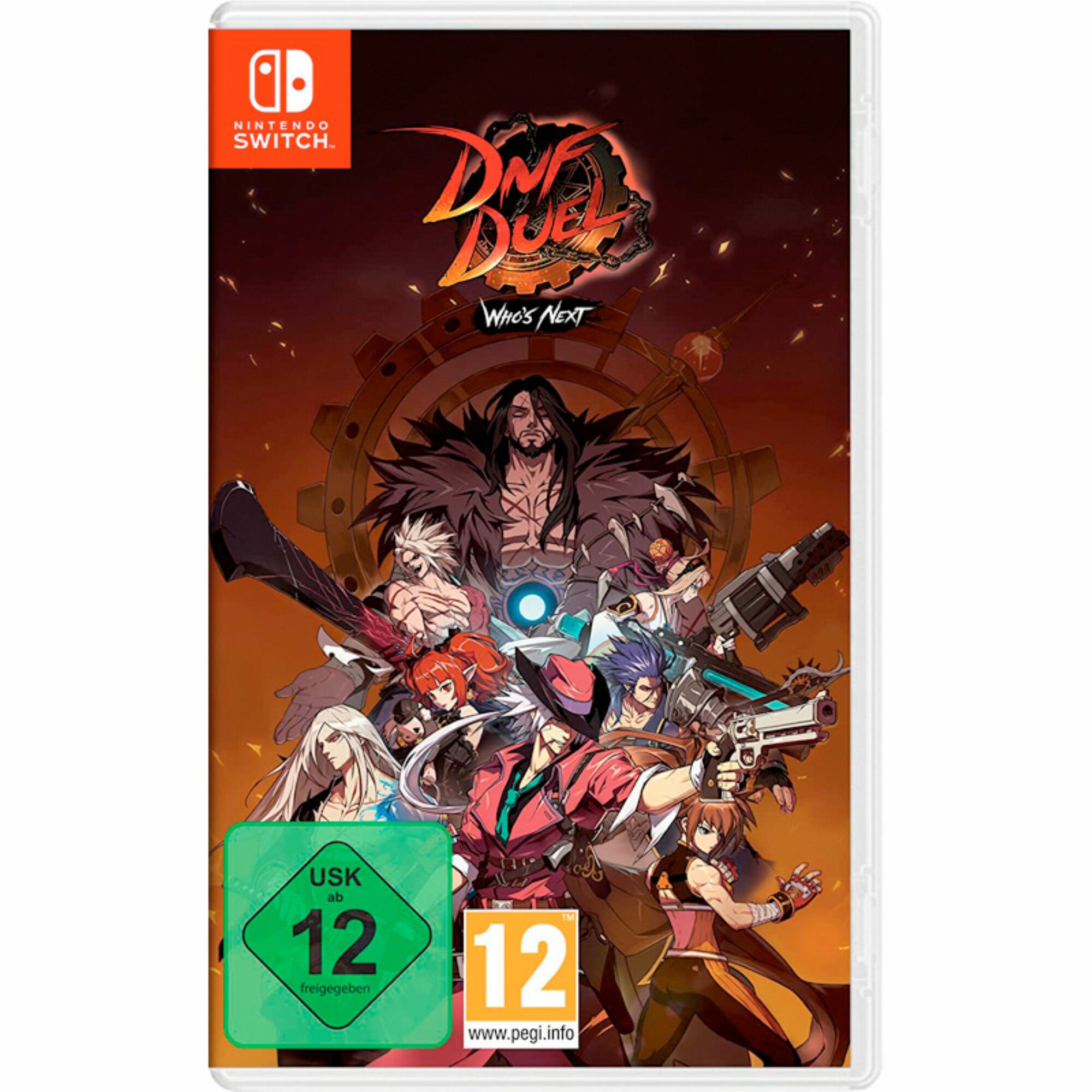 DNF Duel (Игра на картридже) [Nintendo Switch, английская версия]