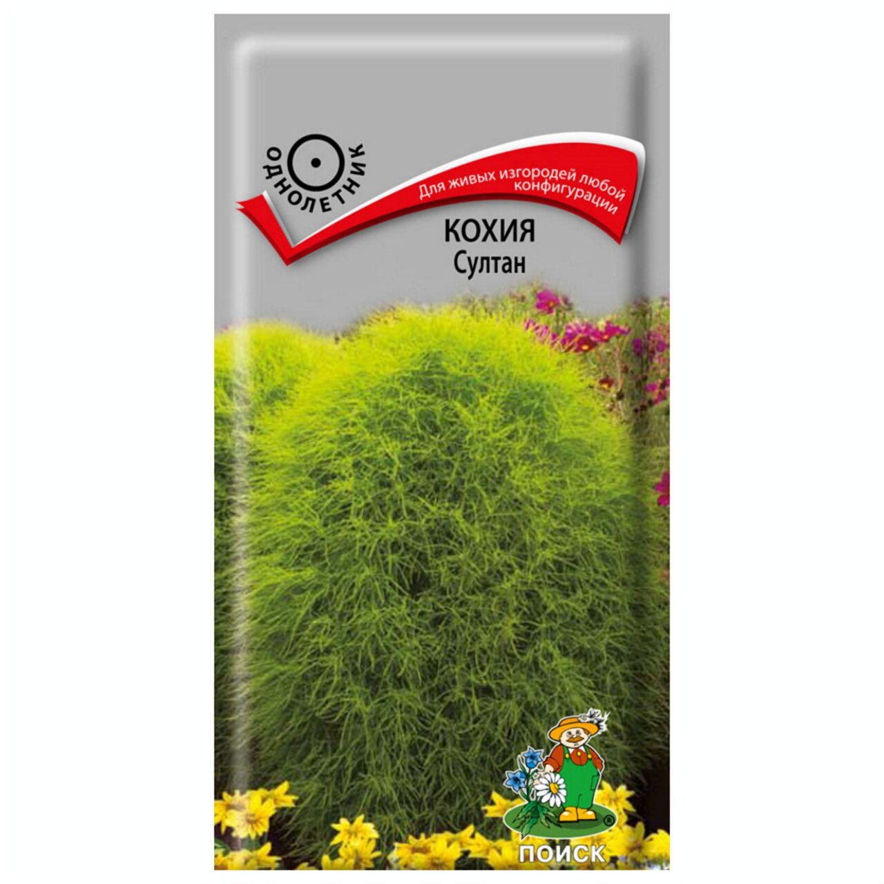 Семена Кохия Султан поиск 0,1г, для дачи, сада, огорода и на рассаду