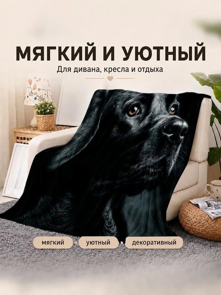 Плед 75x100 см искусственная байка аниме темно-серый