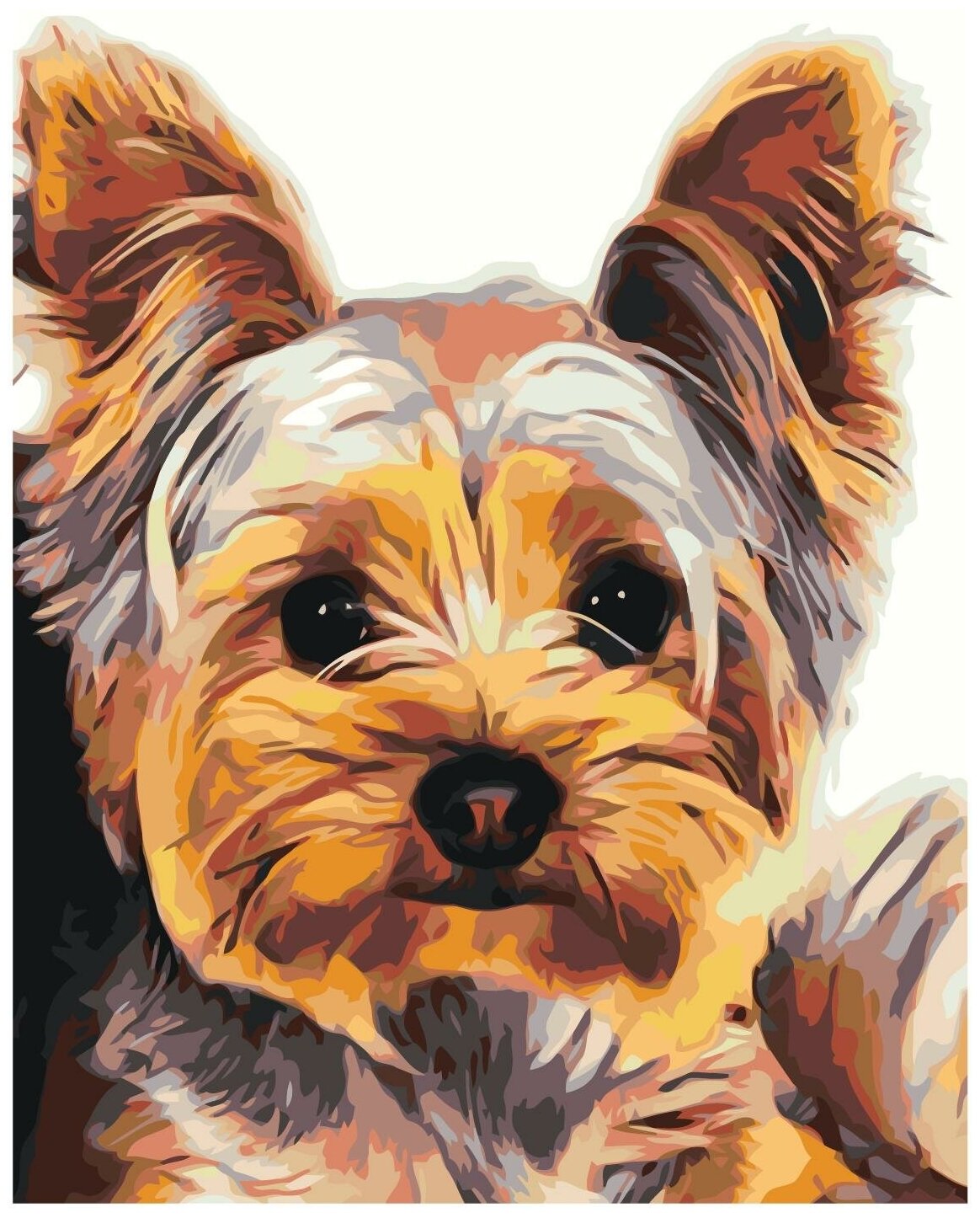 Йоркширский терьер Раскраска картина по номерам на холсте