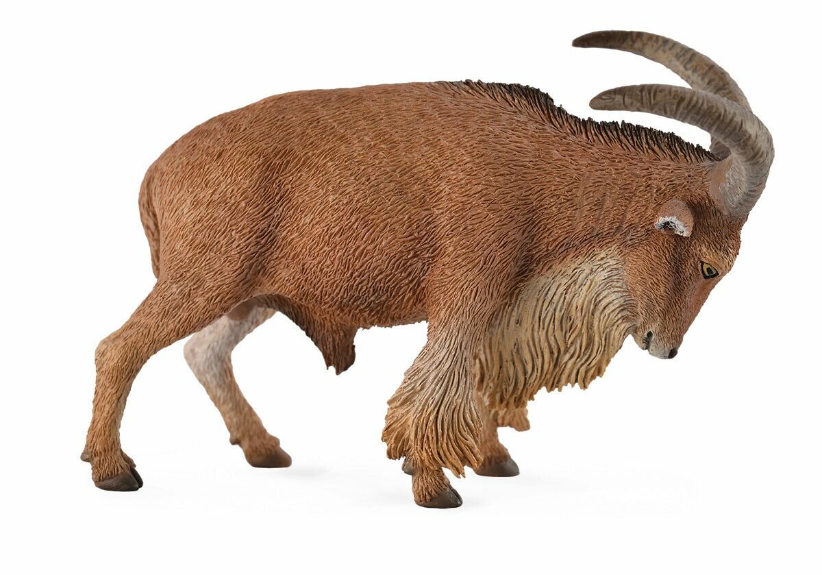 Collecta Коллекционная фигурка серия Дикие животые Овца Барбари 88683