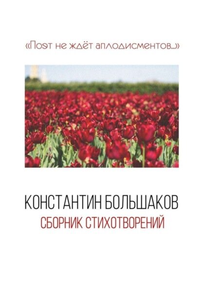 Поэт не ждёт аплодисментов… Сборник стихотворений [Цифровая книга]