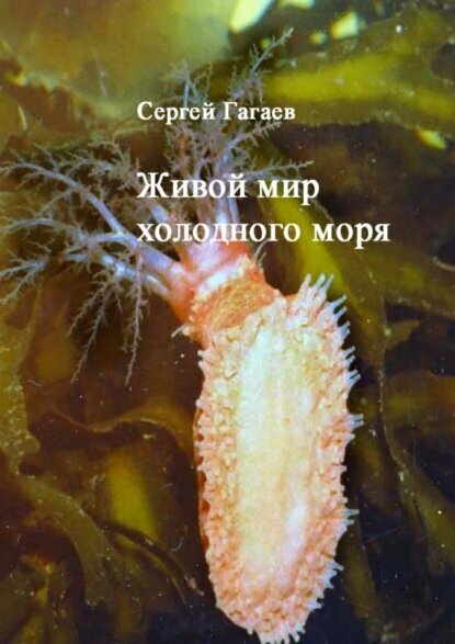 Живой мир холодного моря [Цифровая книга]