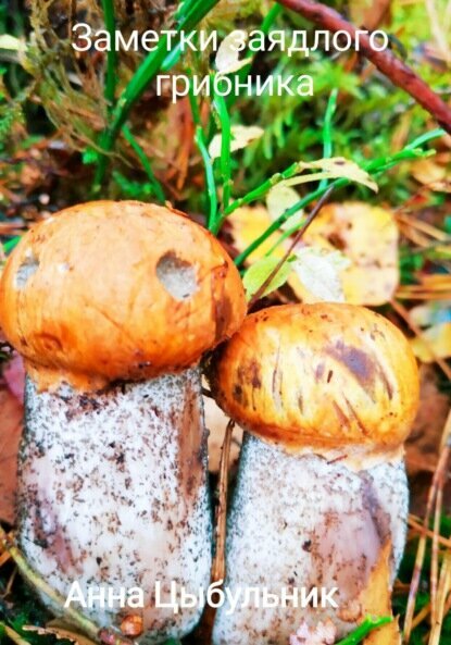 Заметки заядлого грибника [Цифровая книга]