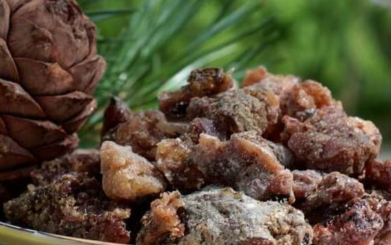 Живица кедровая 100%, 500 г - смола кедра из сибирской тайги