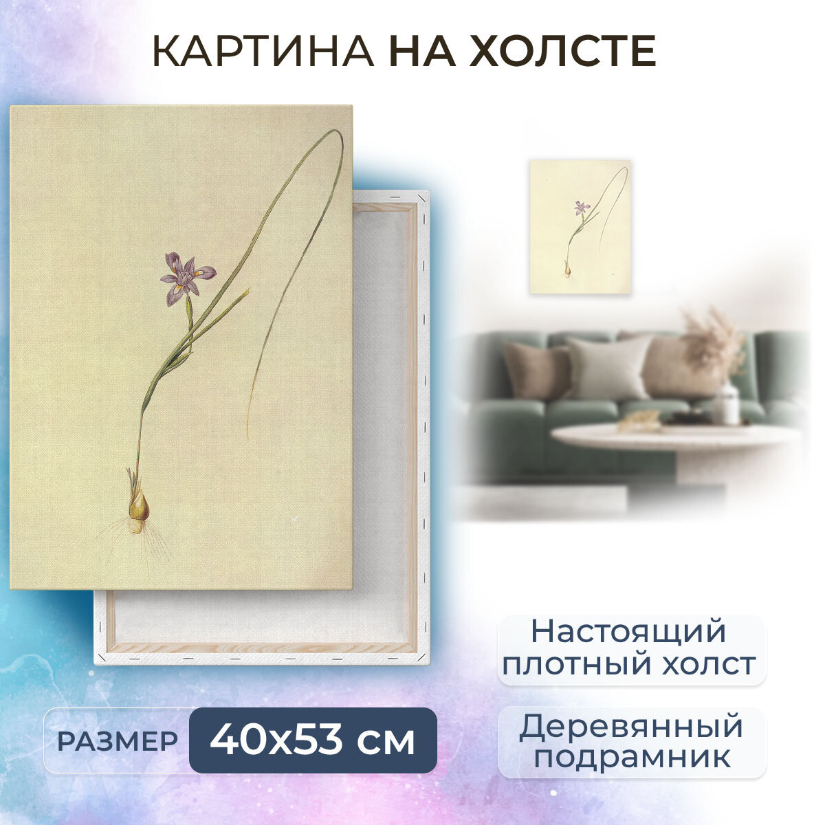 Картина на холсте с подрамником / Pierr - Joseph Redoute / Пьер-Жозеф Редуте