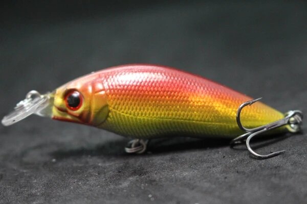 Рыболовная приманка wLure Crankbait 8,1 см, 7,1 г, широкий корпус для плавания, короткий корпус # 6-крюковая приманка для насекомых, пресноводная вода, 3D, твердые глаза, M583