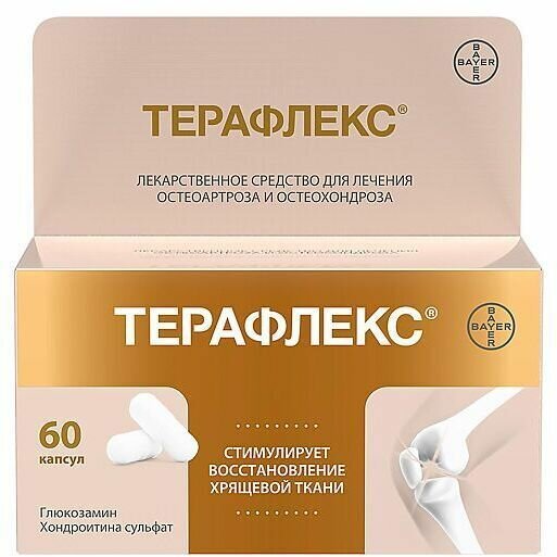 Терафлекс, капсулы 500 мг+400 мг, 60 шт.