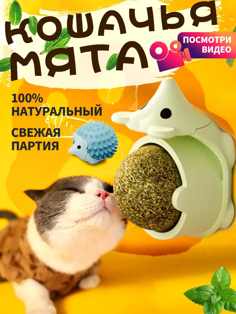 Игрушка для кошек "Ежик с лакомством", мятный шарик, для прикуса, мягкий массаж десен