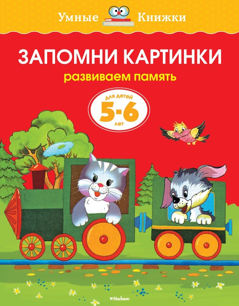 Запомни картинки (5-6 лет) (Земцова)