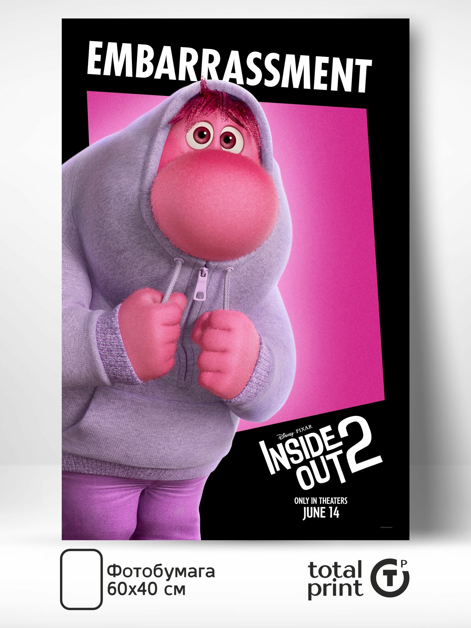 TotalPrint Постер для интерьера по фильму, 60х40см, Головоломка